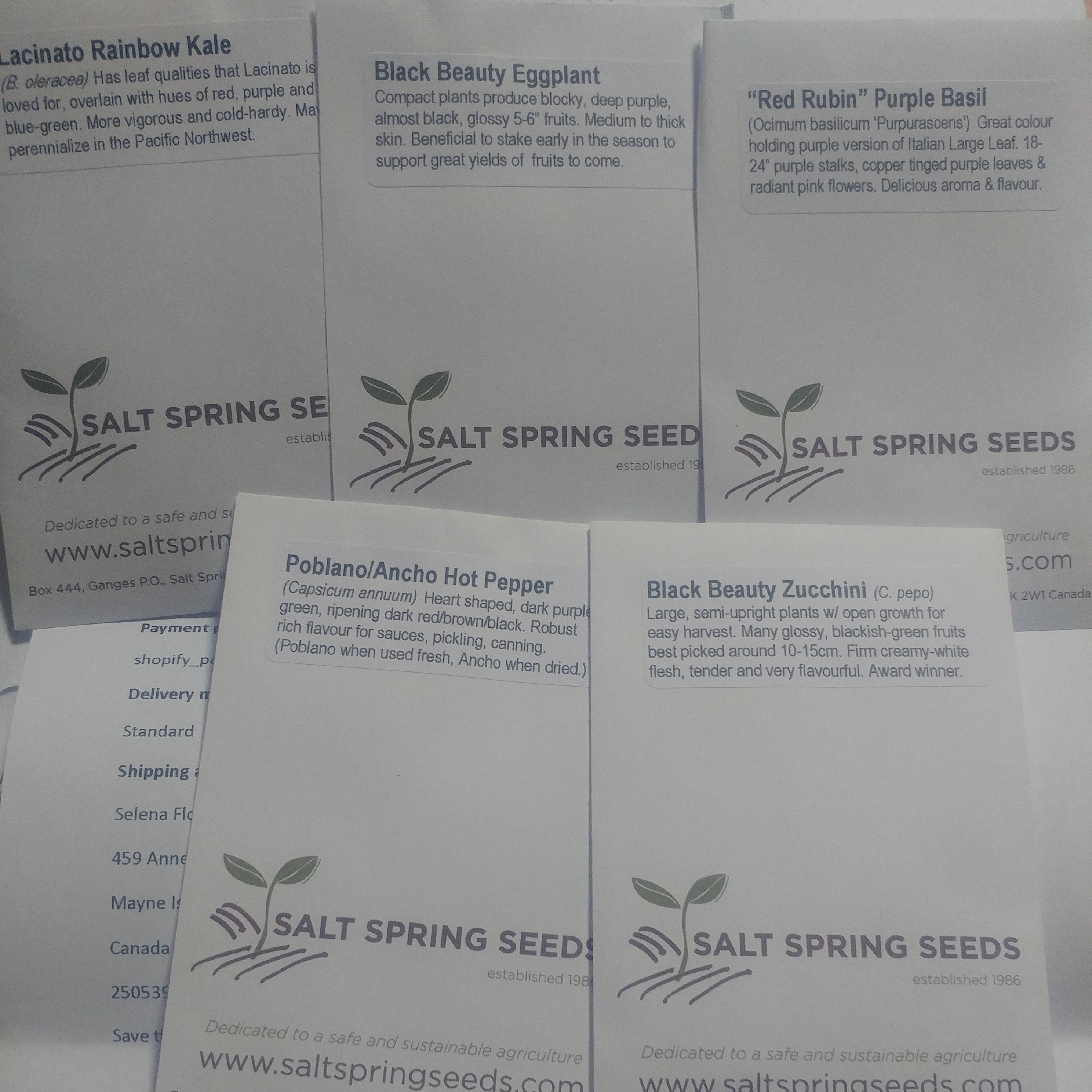 10 Canadian Heirloom Seed Companies I Would Order from Again – Garden ...